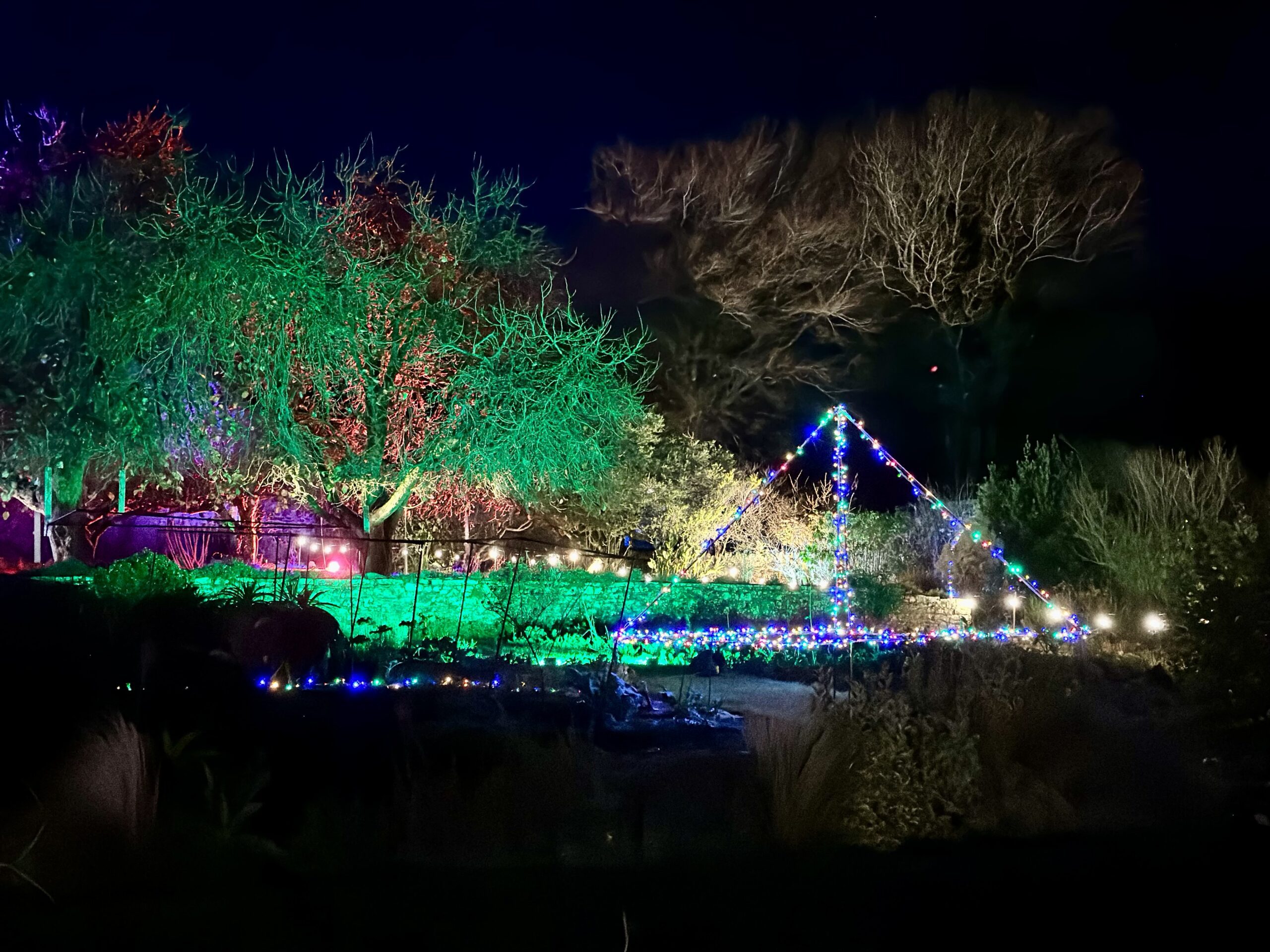 Clovelly Court Gardens Christmas Illuminations - Clovelly